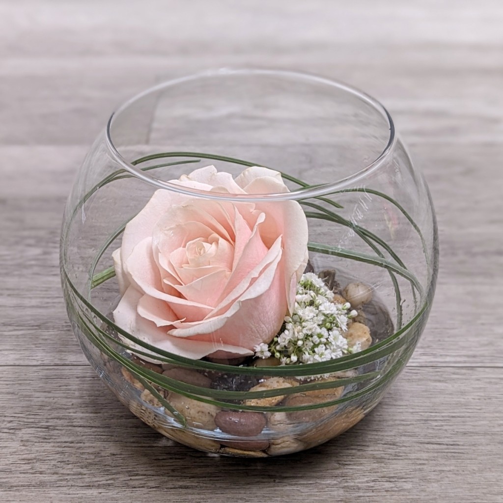 Rose Bowl – Brown’s The Florist BD Canada