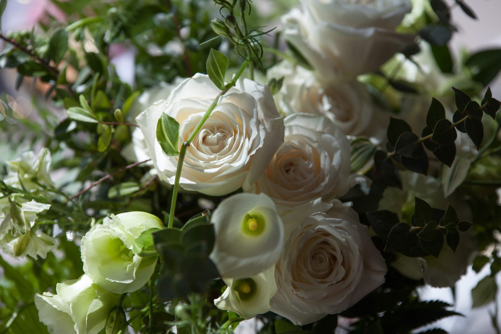 Rose & Hydrangea Care - Brown's The Florist