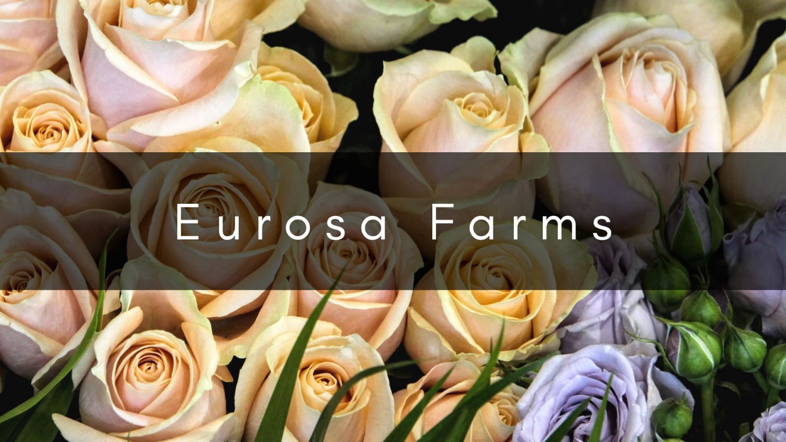 Meet our Local Growers