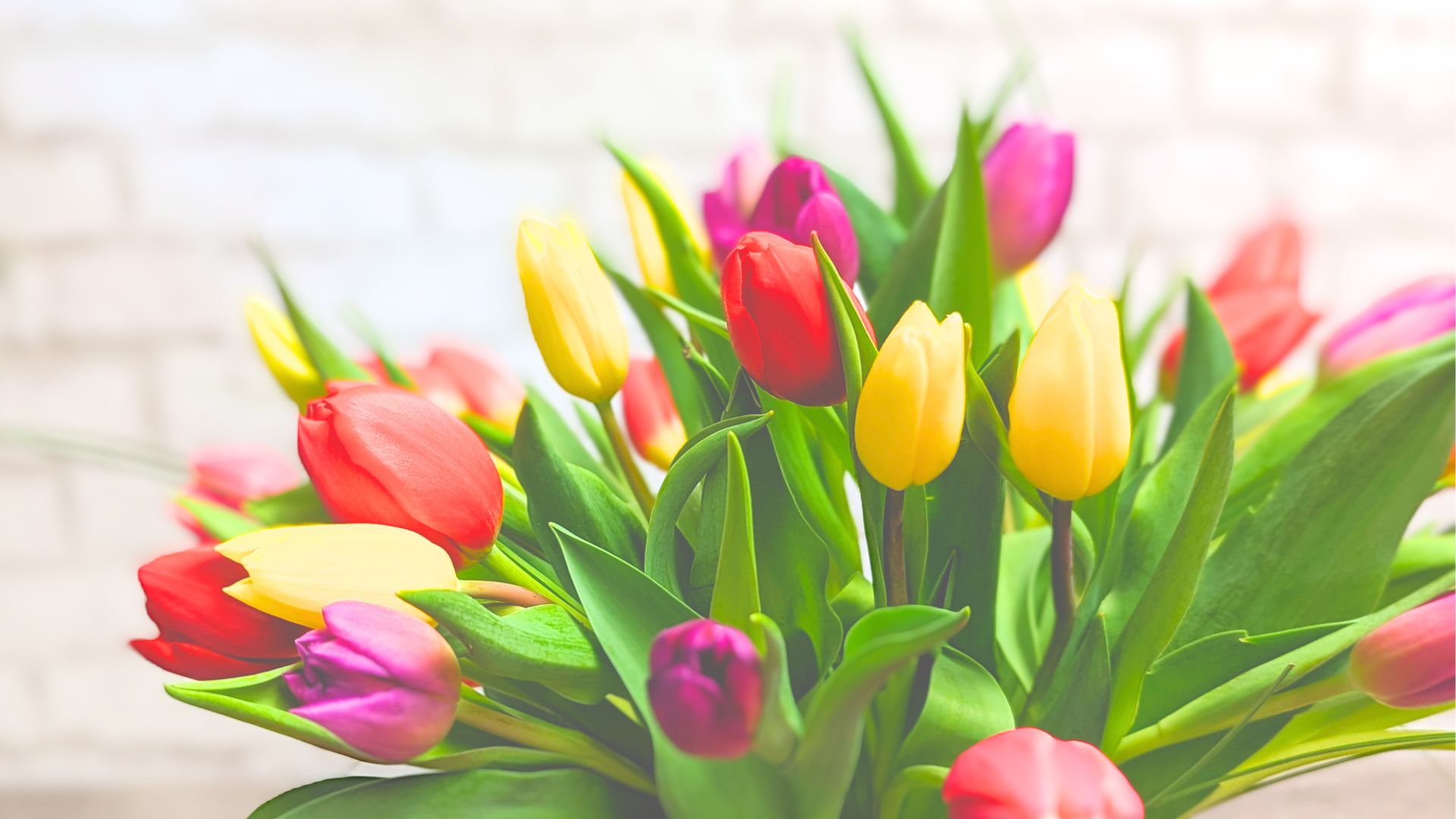 Brown's the Florist™ - Flowers Shops in Victoria, Sidney & West Shore BC